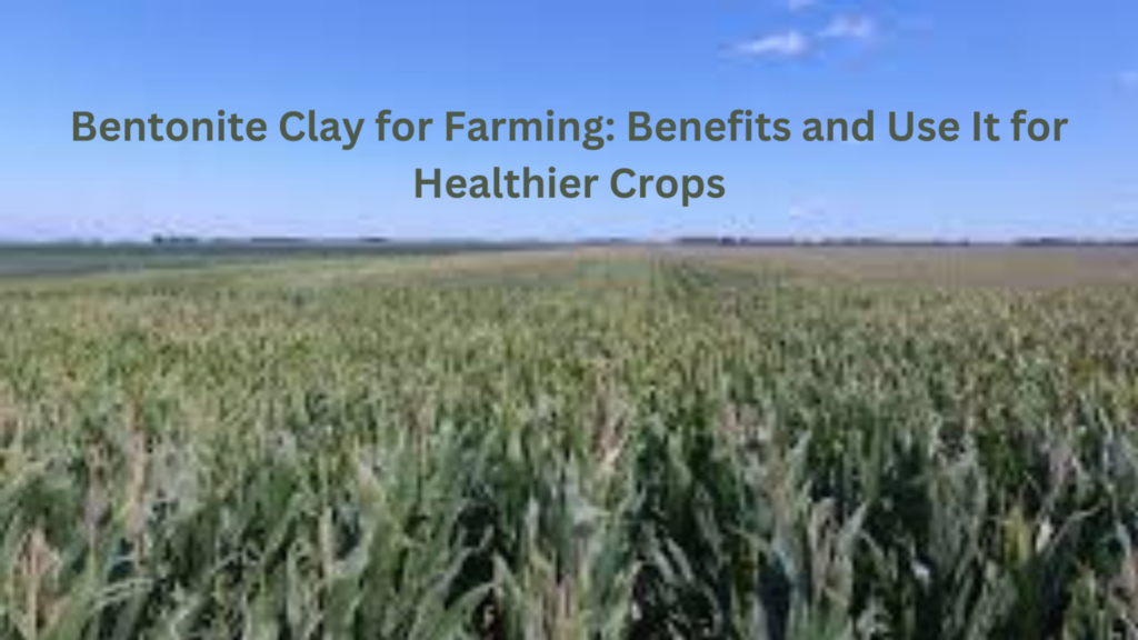 Bentonite Clay for Farming: Benefits and How to Use for Crops